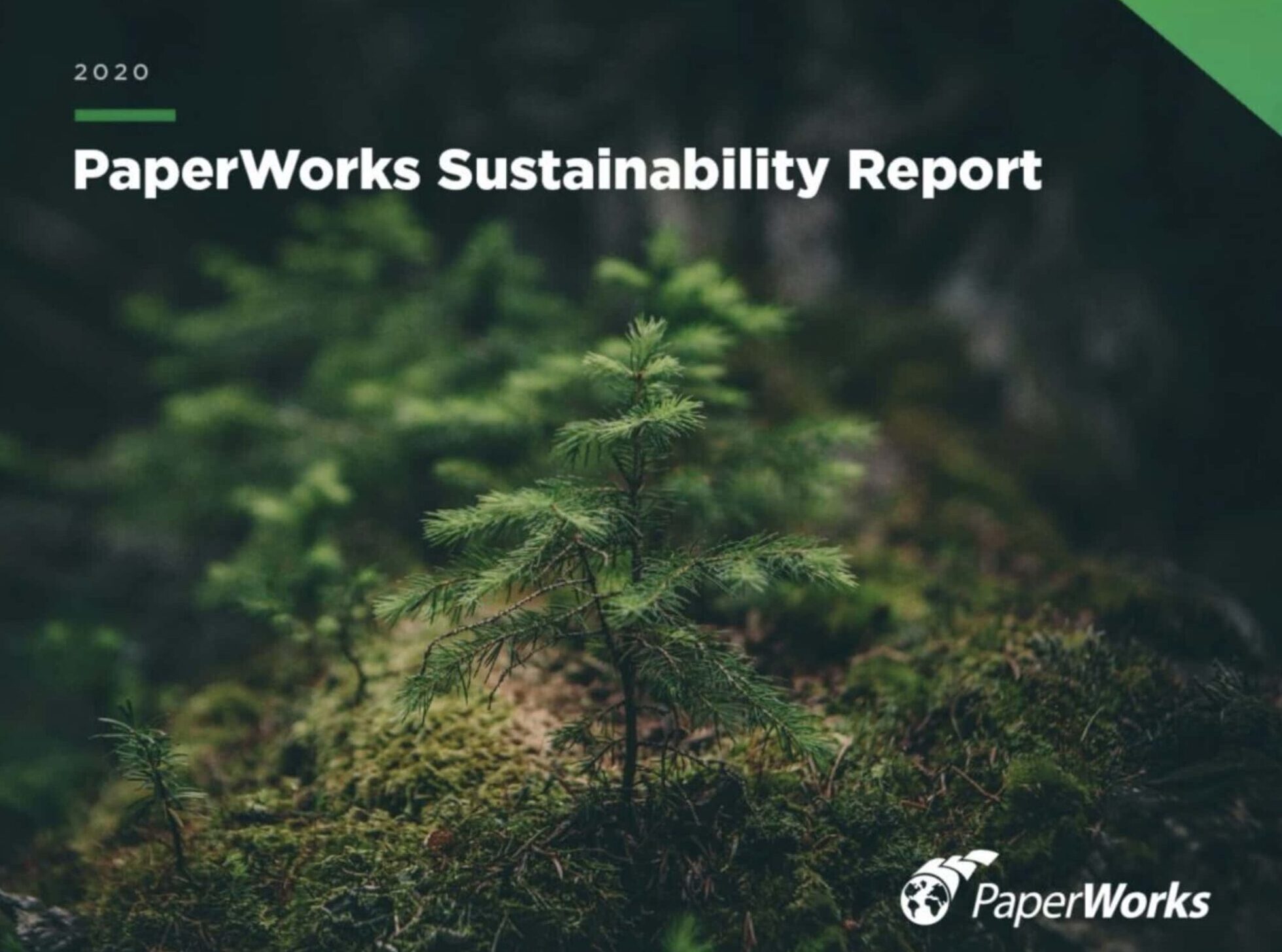 Responsible Paper | OnePaperWorks